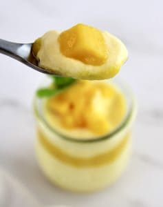 Mango Mousse – Nutritious Deliciousness