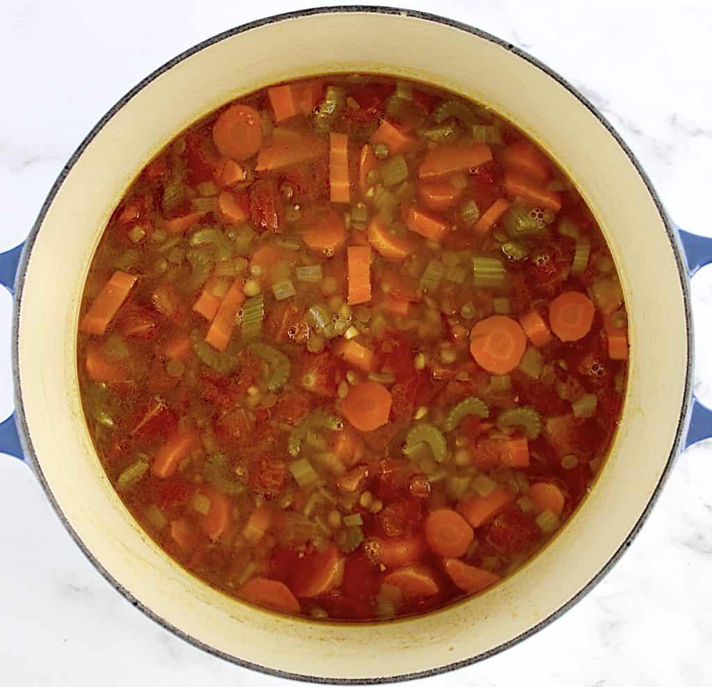 Carrot and Lentil Soup – Nutritious Deliciousness