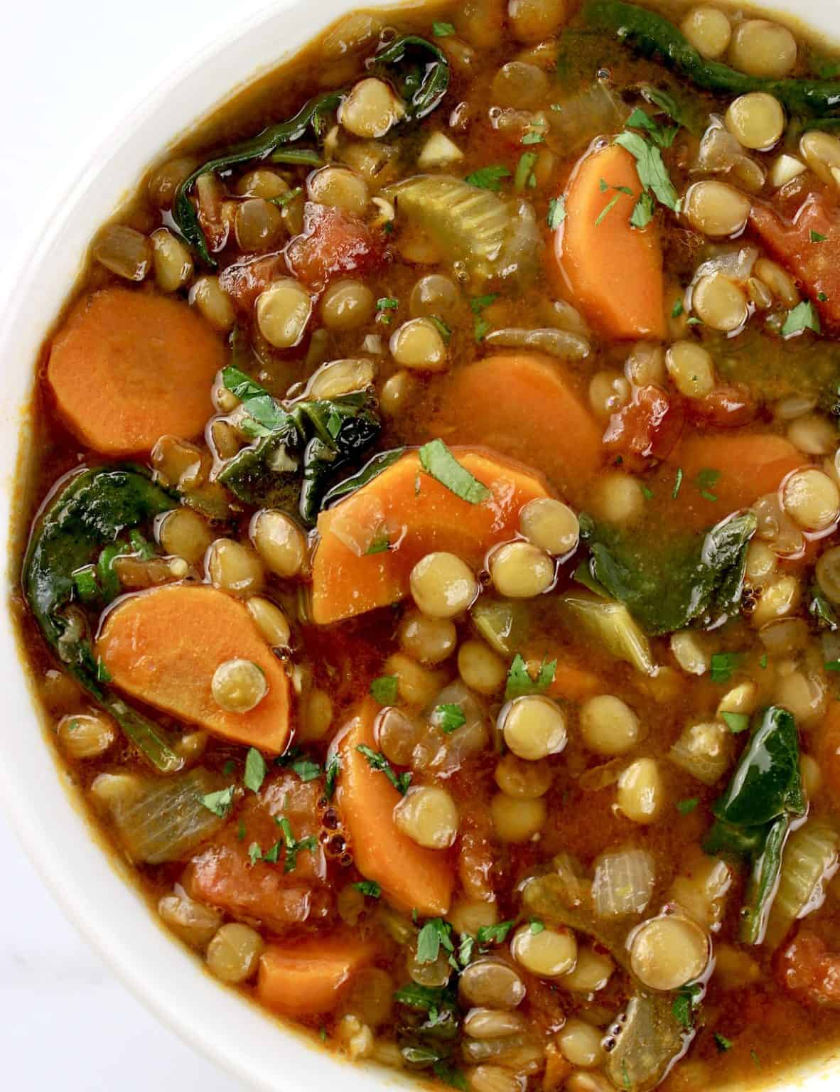 Carrot and Lentil Soup – Nutritious Deliciousness