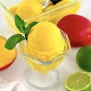 Easy Mango Sorbet – Nutritious Deliciousness